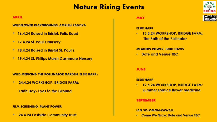 Welcome to Nature Rising – Creative Connex © 2025