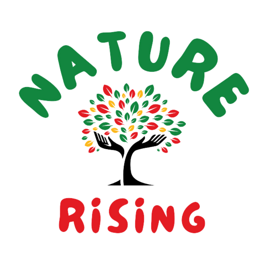 Nature Rising – Creative Connex © 2026